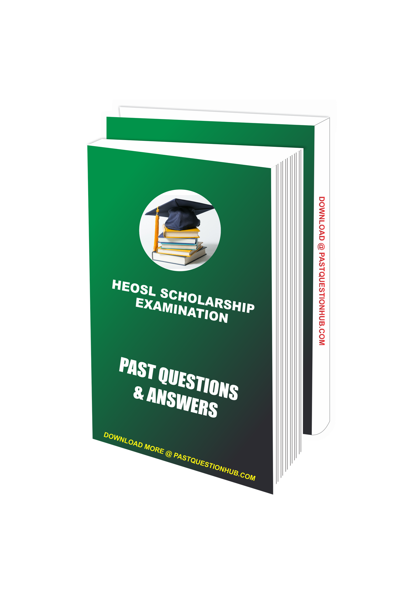 HEOSL Scholarship Past Questions And Answers PDF Download Up to Date